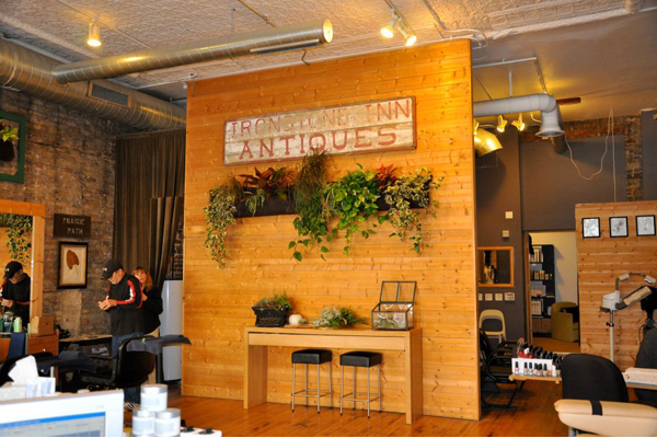 Living Art Can Install a Vertical Garden at Your House – Chicago Magazine