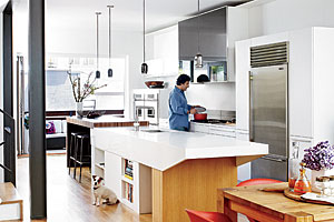 A Logan Square Couple Gives Their Home a Kitchen-Focused Facelift ...