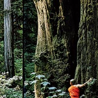 Found Art – Chicago Magazine