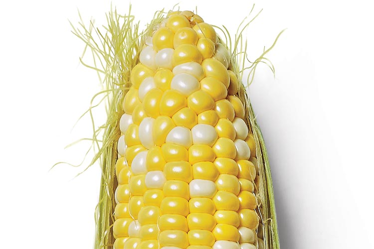 What To Make With All That Glorious Corn This Season – Chicago Magazine