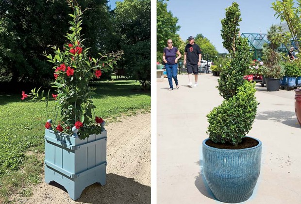 Grow an Urban Garden – Chicago Magazine