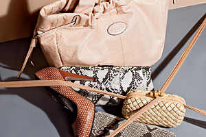 Six Great Snakeskin Items – Chicago Magazine