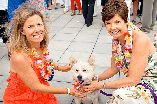 PAWS Chicago 9th Annual Beach Party – Chicago Magazine