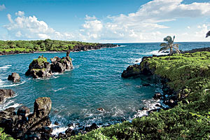 A Maui Tour From Sola’s Carol Wallack – Chicago Magazine