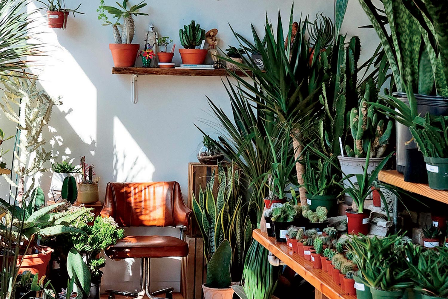 Four Touches to Make Your Home a Little More Livable – Chicago Magazine