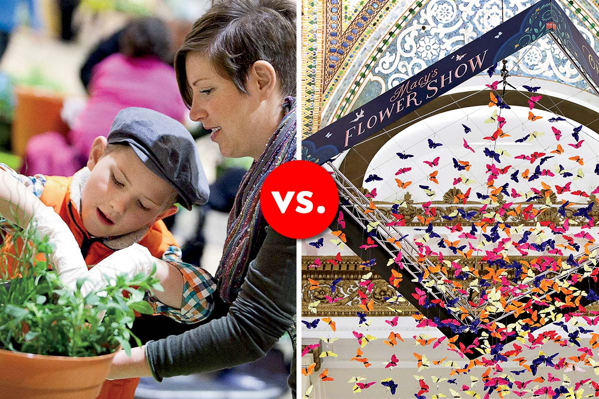 Battle of the Blooms: Which Annual Flower Show Should You Visit ...