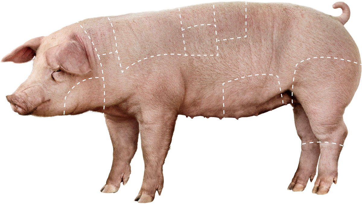 Pigging Out – Chicago Magazine