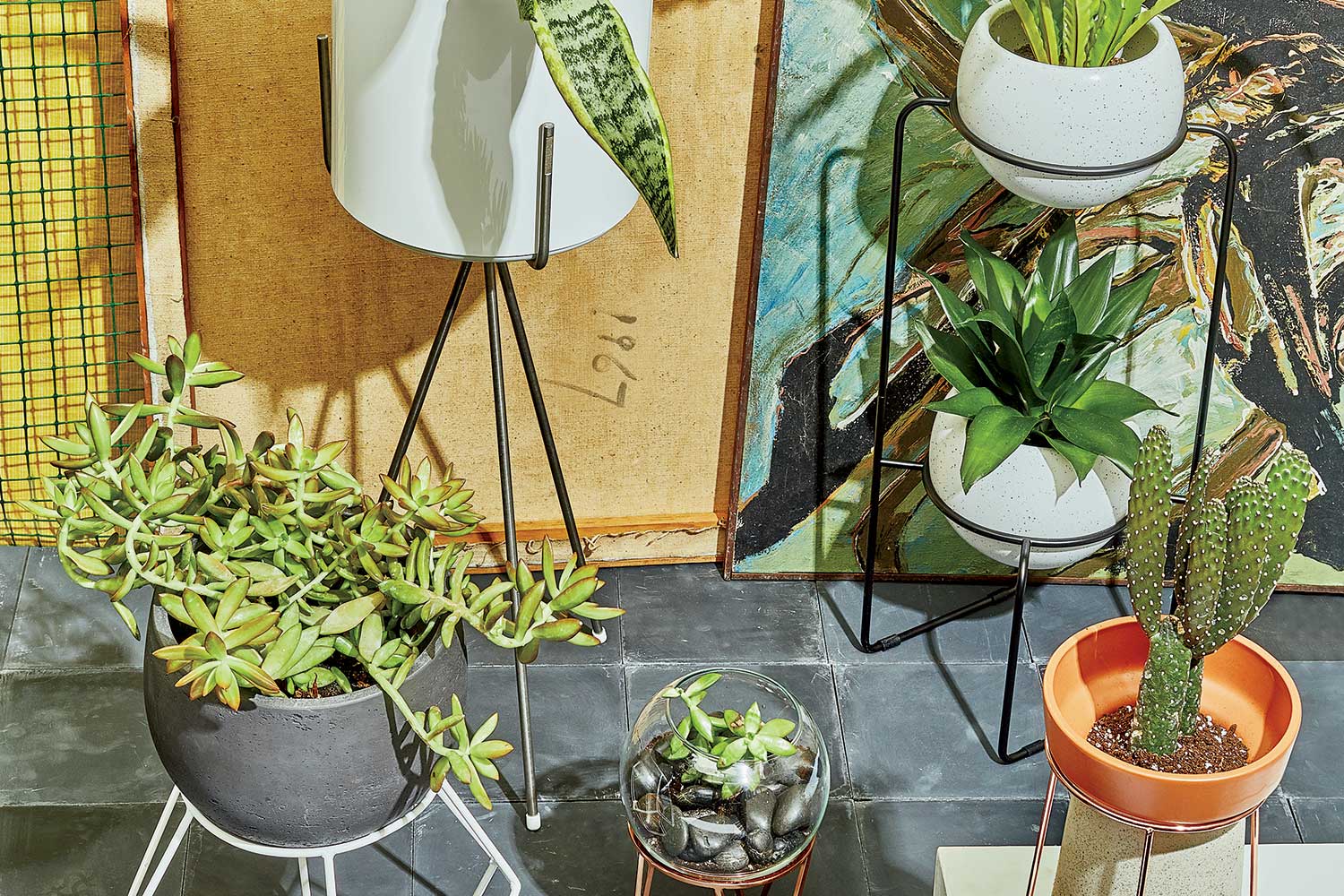 Geometric Plant Stands to Elevate Your Indoor Garden – Chicago Magazine