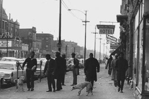 Chicago Gangs in the 1950s – Chicago Magazine