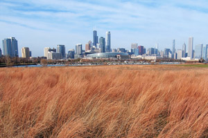 PandoDaily: Another Coastal Publication Takes on the 'Midwest Mentality ...