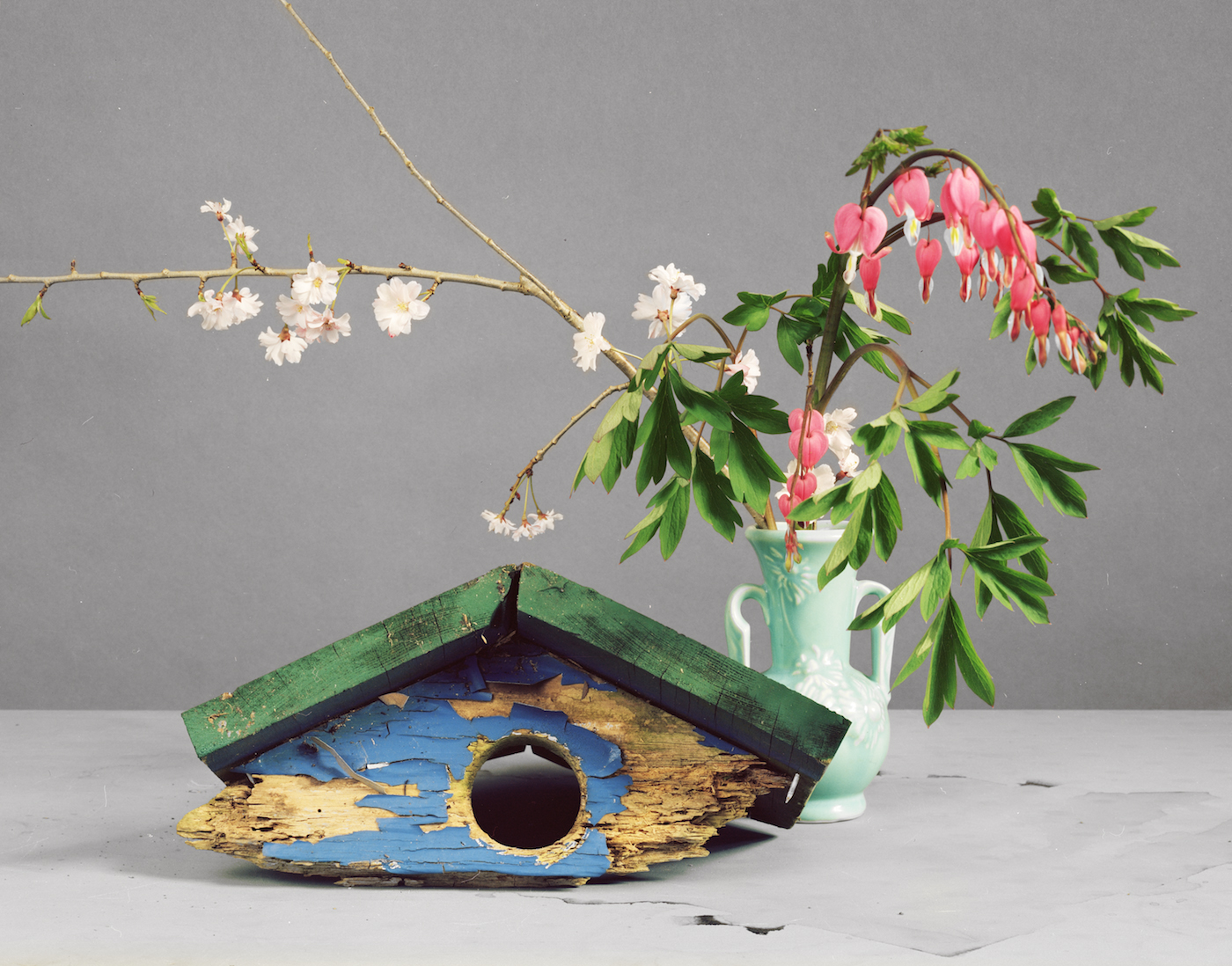 Photographer Jessica Labatte's Floral Arrangements Are Capsules of Time ...