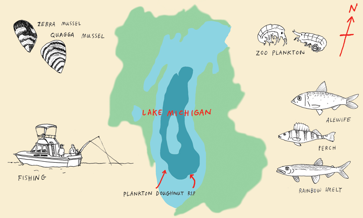 The Fish-pocalypse Is Nigh! – Chicago Magazine