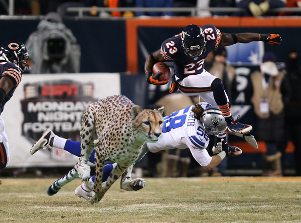 In Honor of Devin Hester’s Retirement, Let’s All Remember That Time He ...