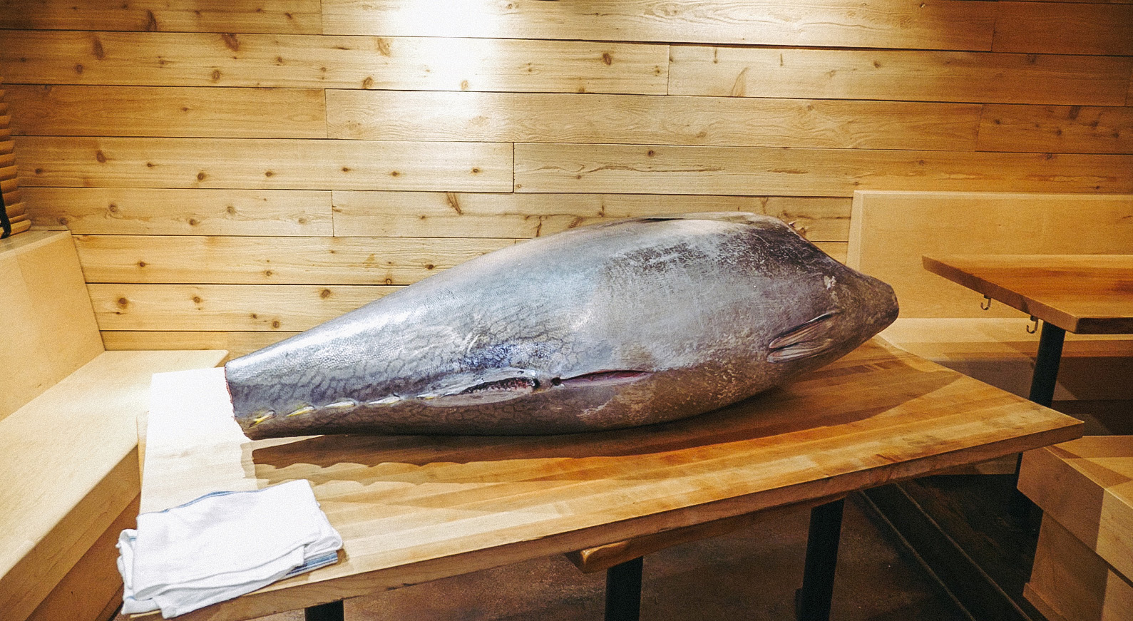 Watch Kaze Chan Turn This 500-Pound Tuna Into Sushi – Chicago Magazine