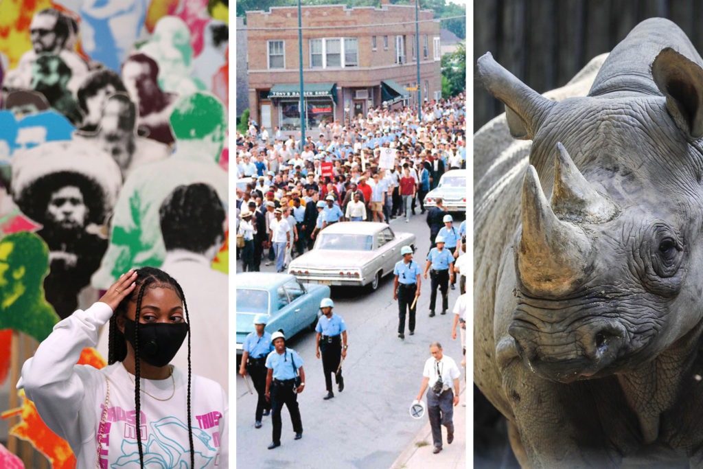 Ten Great Things to Do in March – Chicago Magazine