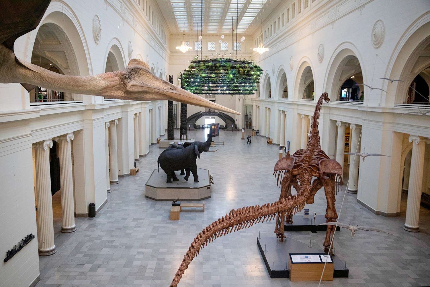 The Least Busy Times to Go to the Busiest Places – Chicago Magazine