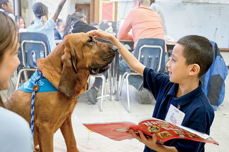 Donate Your Time and Money to These 10 Chicago Nonprofits – Chicago ...