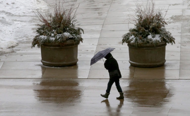 Don’t Call It the Windy City, Call it the Hawk City – Chicago Magazine