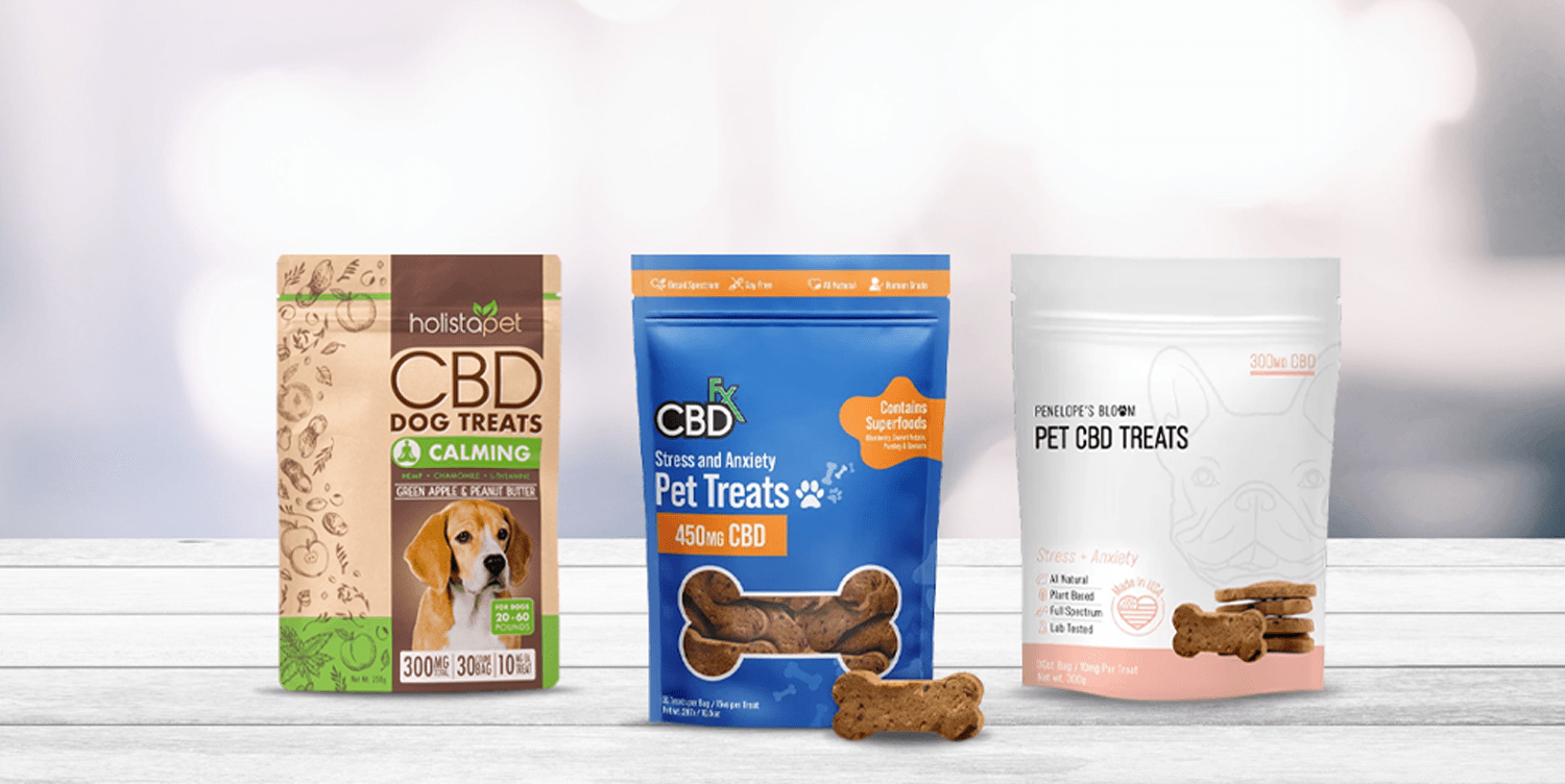 Are Dog Cookies Safe For Humans at Catherine Fletcher blog