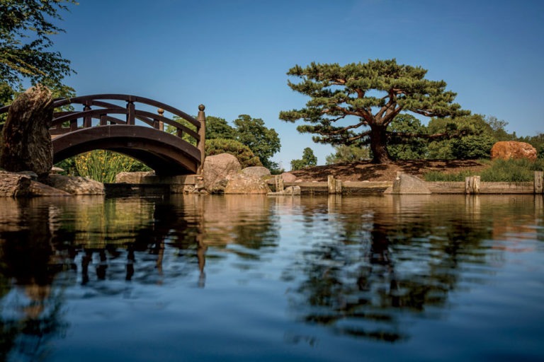 Find Zen at the Garden of the Phoenix – Chicago Magazine