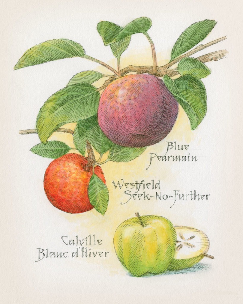 Level Up Your Apple Picking – Chicago Magazine