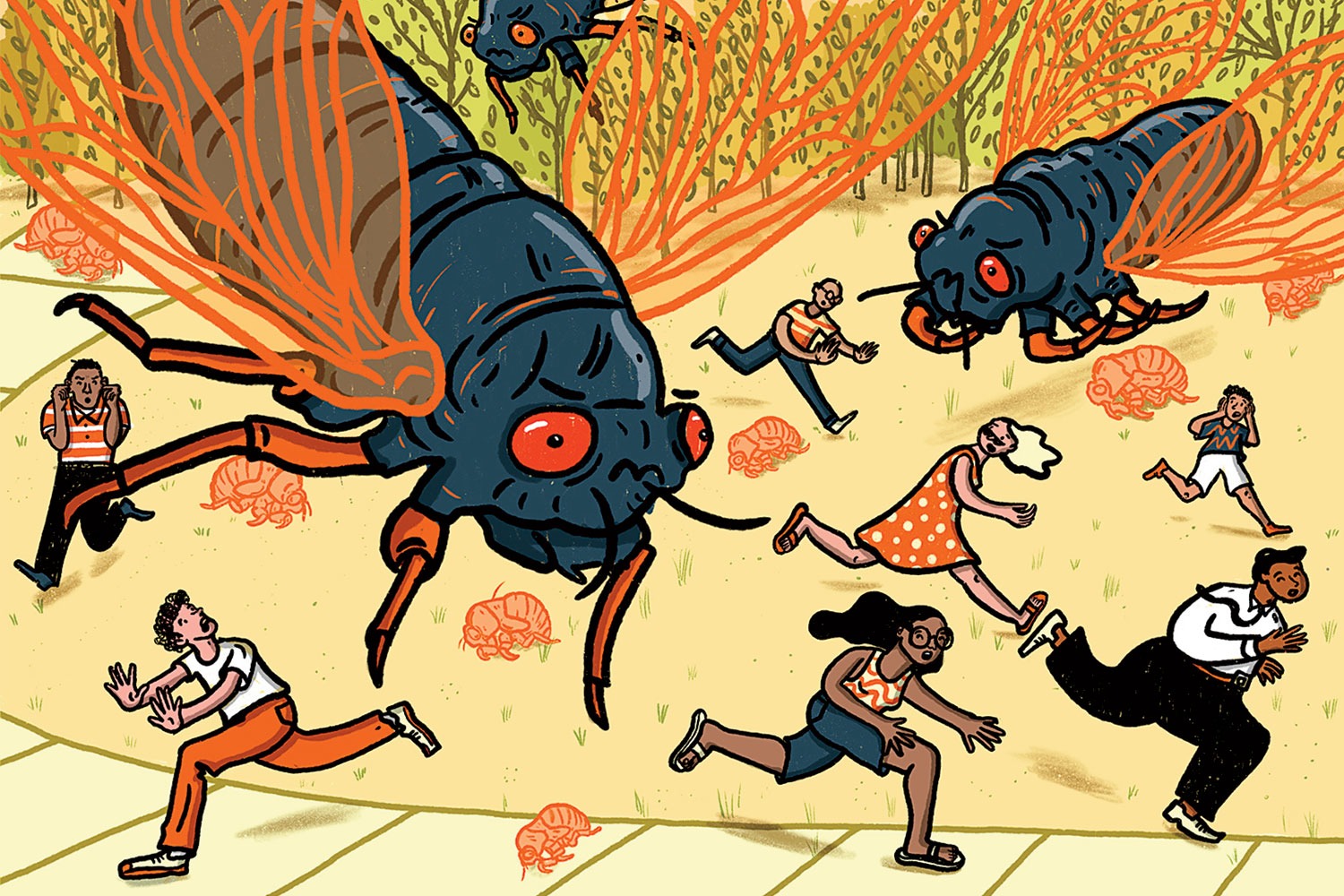 Cicadapocalypse Now – Chicago Magazine