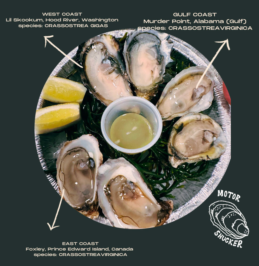 We Give a Shuck About Oyster Origins – Chicago Magazine