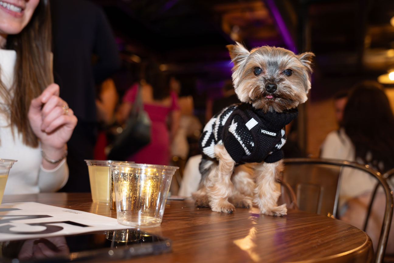 Photos from Paws Chicago’s 2026 Animal Magnetism Event – Chicago Magazine