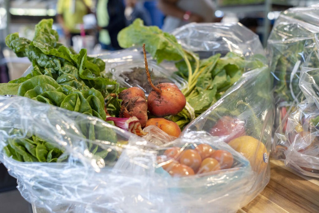 More than Gardening, Urban Agriculture is an Investment in Resilience ...